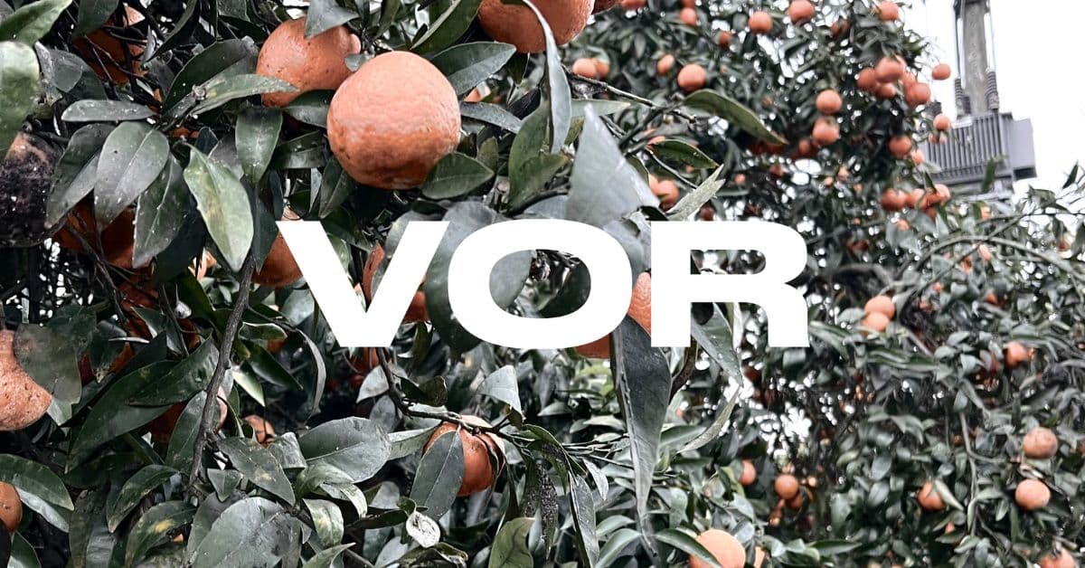 VOR | Progressive German design brand